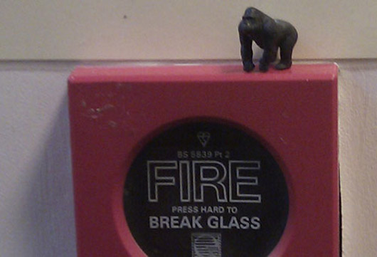 Feral Vector » Rosie Fairchild and Mark Rochefort: Splash and Ripple